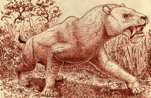 8 Most Mysterious Extinct Cat Breeds - EnkiVillage