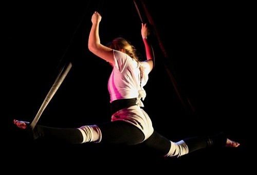 Worst Circus Accidents in History - EnkiVillage