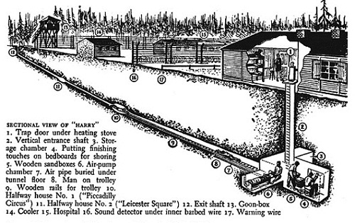 Top 10 Cases of Escaping from Prison Successfully - EnkiVillage